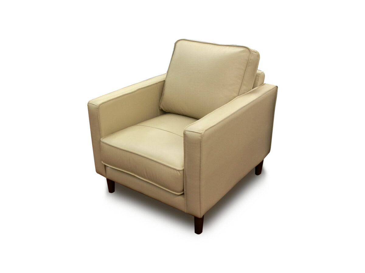 Leather Match Sofa Set | Nothin' Fancy Furniture Warehouse